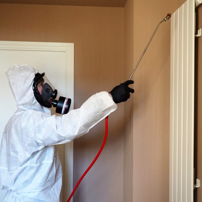 Formation en Dératisation, Désinfection et Désinsectisation | Samsic ...